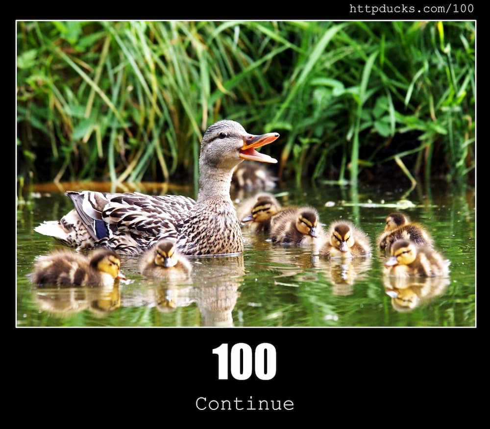 100-continue-http-status-code-and-cats