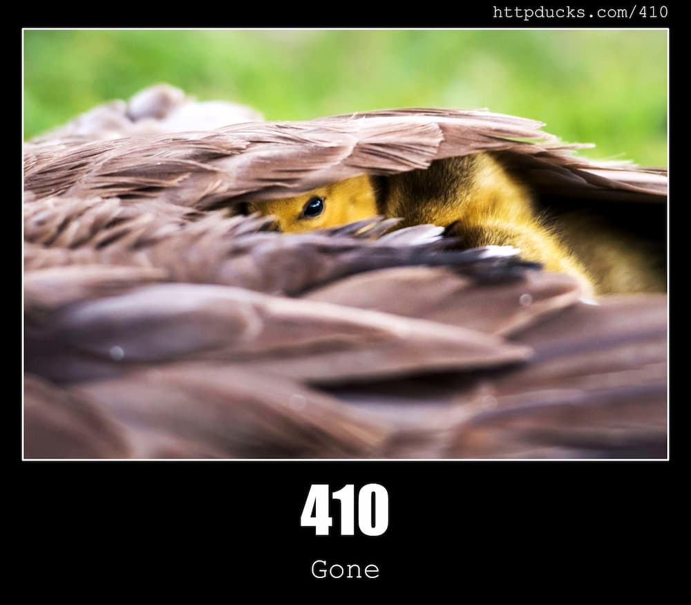 410 Gone HTTP Status Code And Cats 