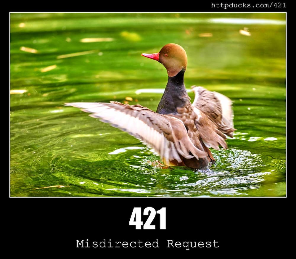 HTTP Status Ducks API - A duck image for every HTTP Status Code