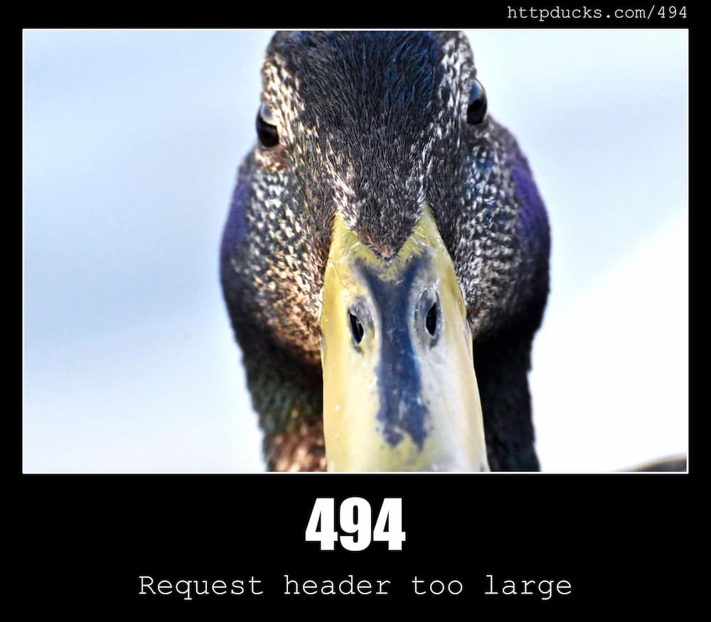 HTTP Status Ducks API - A duck image for every HTTP Status Code