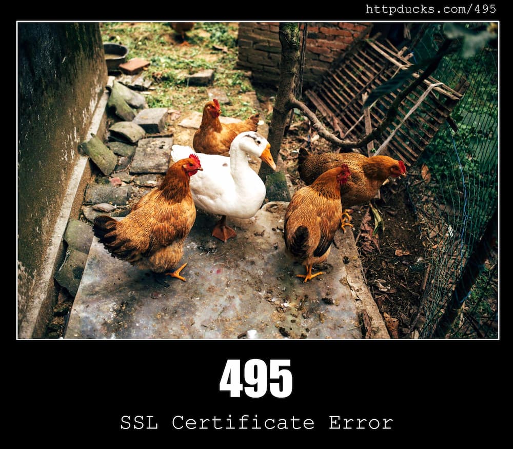 HTTP Status Ducks API - A duck image for every HTTP Status Code
