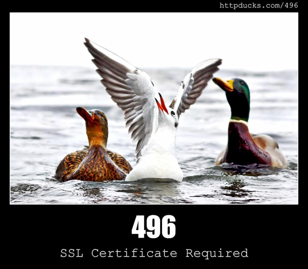 HTTP Status Ducks API - A duck image for every HTTP Status Code