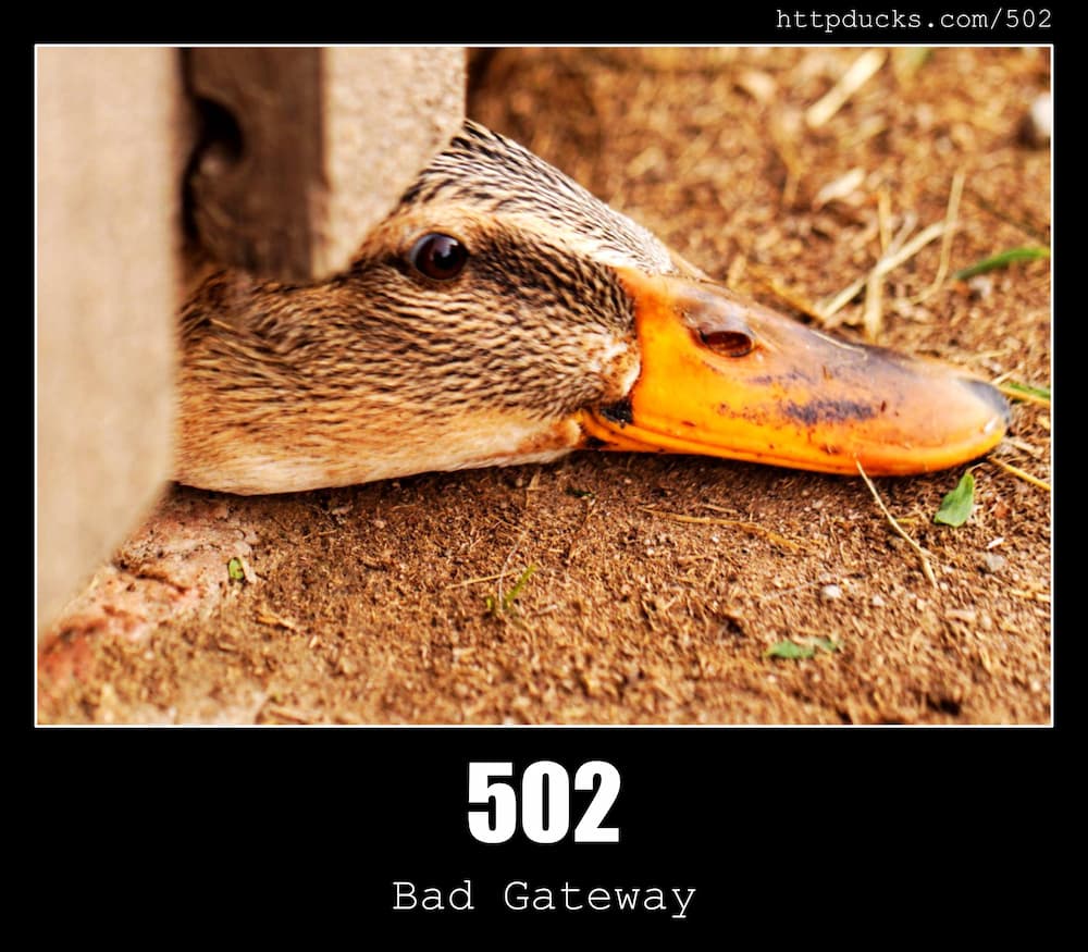 502 Bad Gateway - HTTP status code and dogs! 502 Bad Gateway - HTTP status code and dogs!